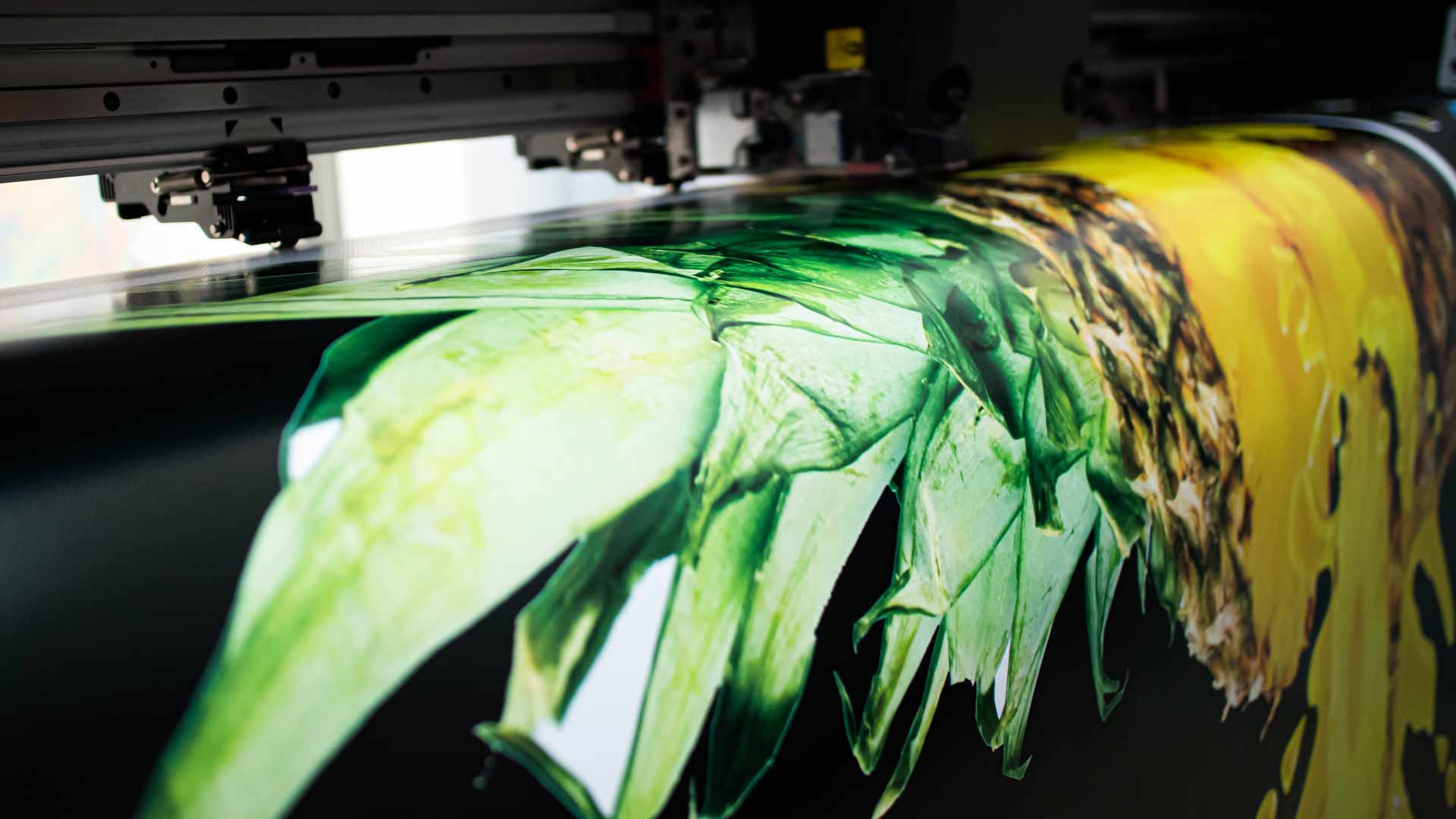 Επιγραφές | MT Graphics